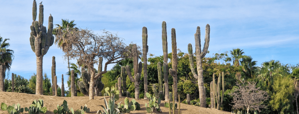 Mexiko Urlaub: Highlights & Tipps